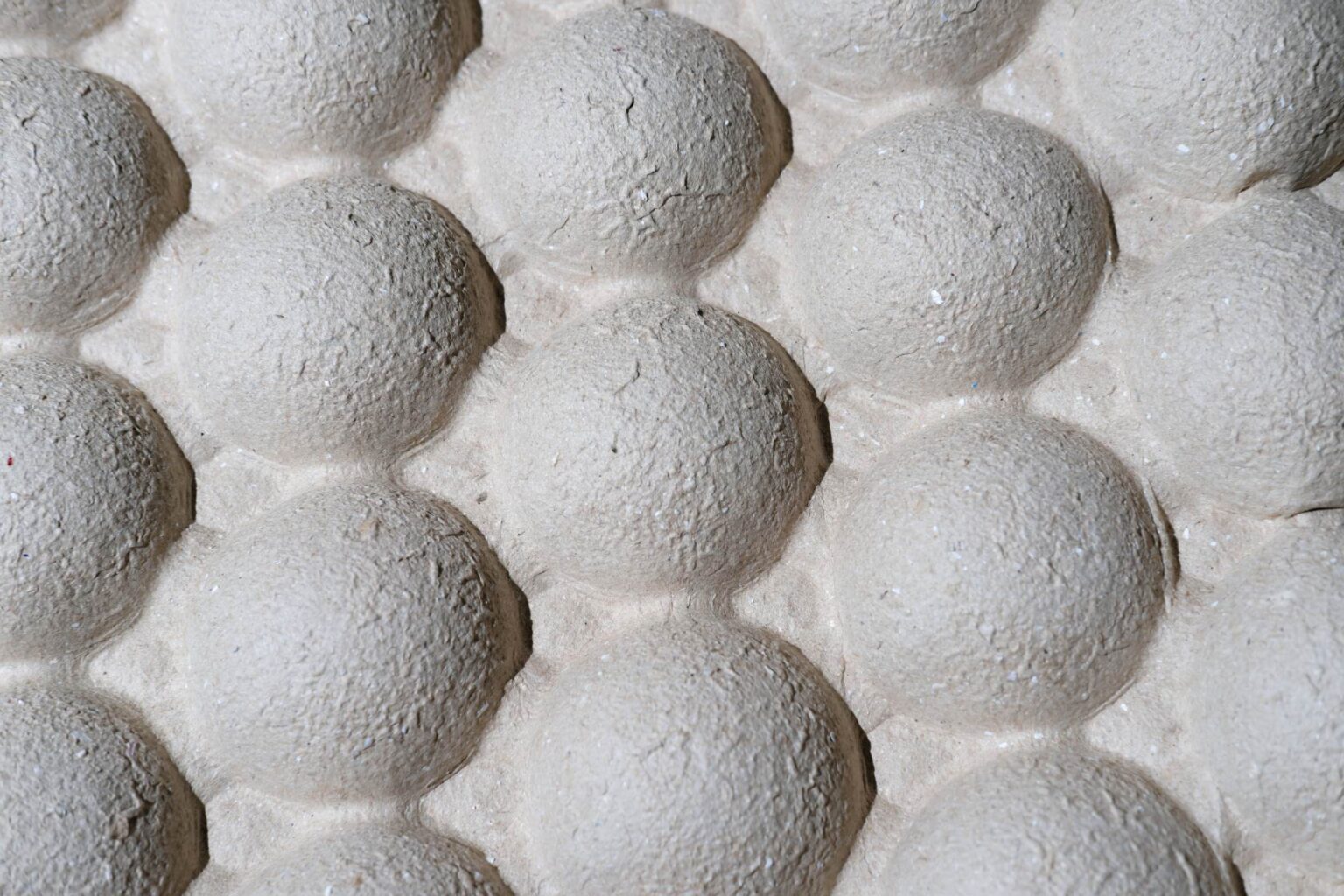 Empaque Biodegradable de Hongos: Una Alternativa Ecológica al ...