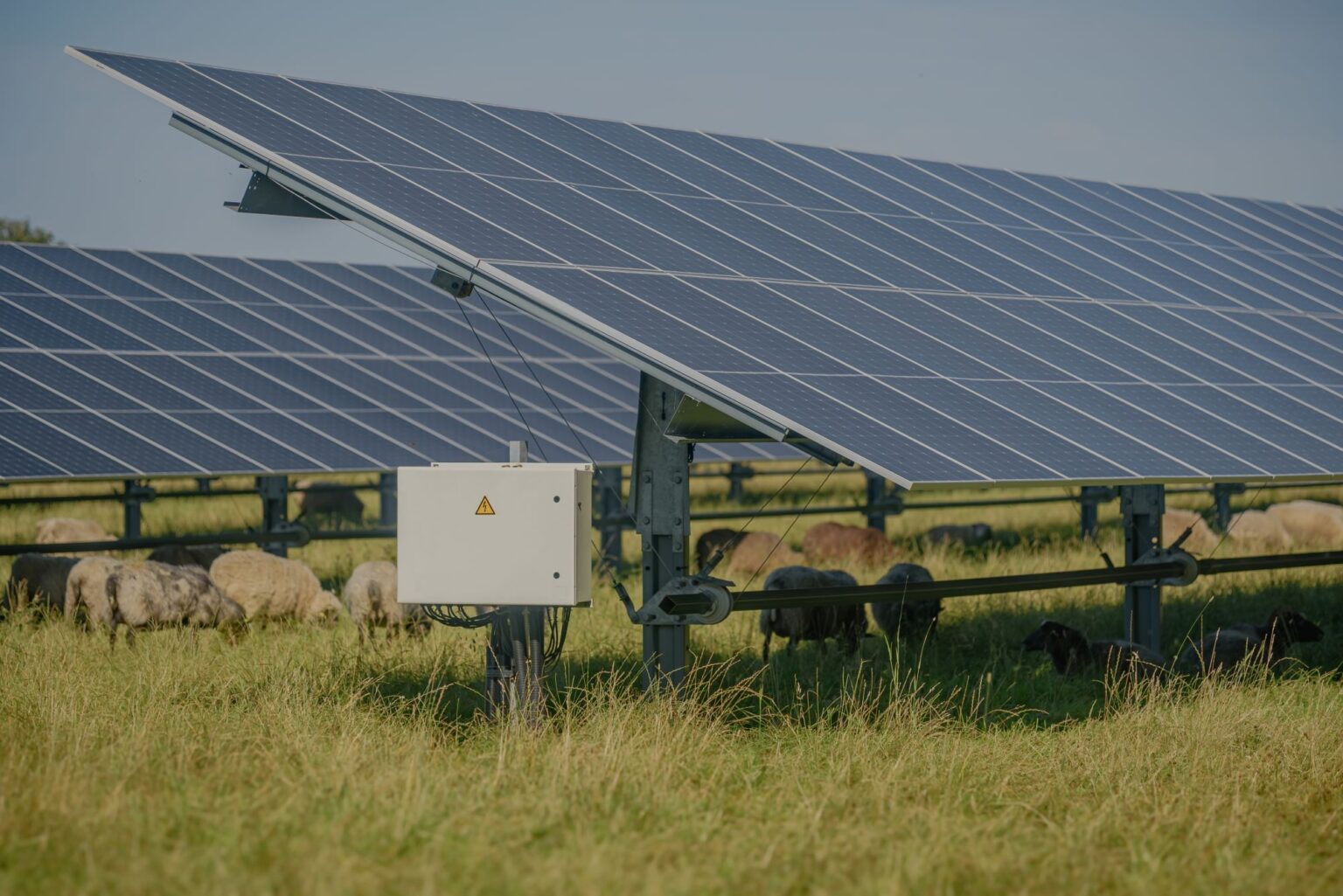 Agrivoltaica: Cultivar y Generar Energía Solar al Mismo Tiempo ...
